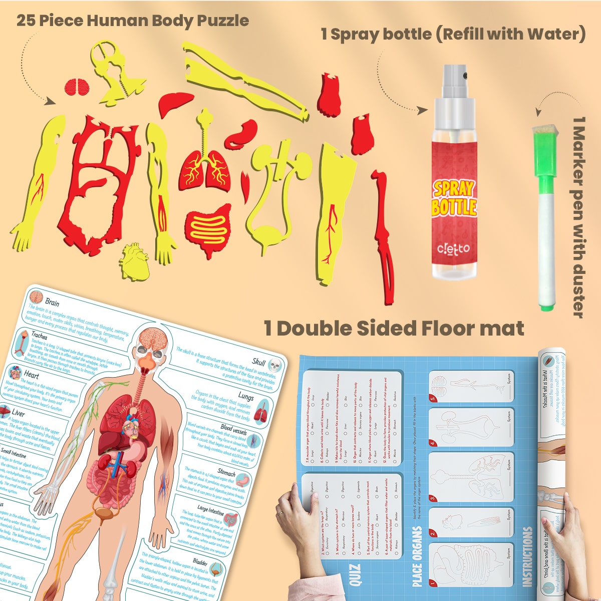 Human Body Parts Puzzle for Kids – Cretto