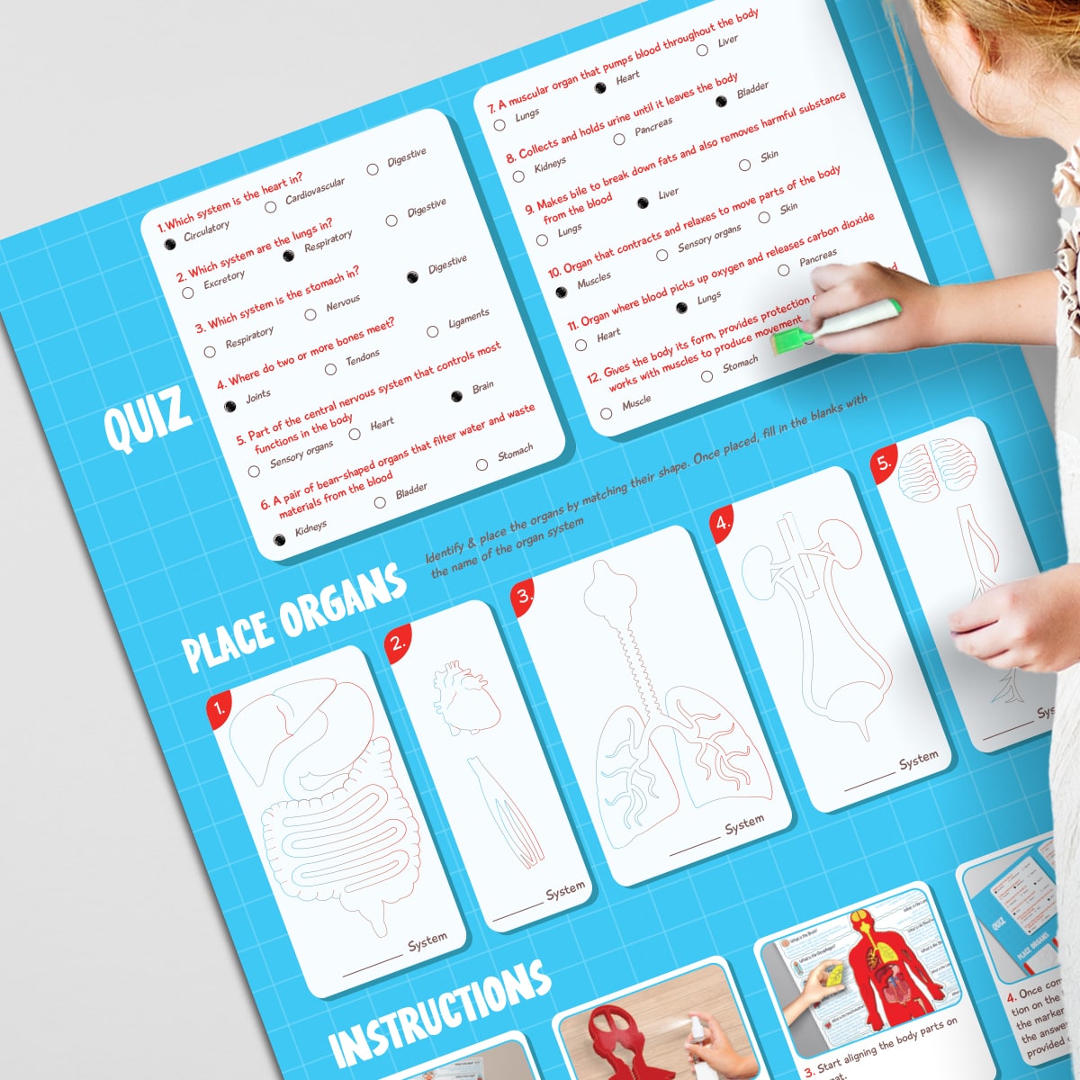 3D Human Body Parts Puzzle – Cretto