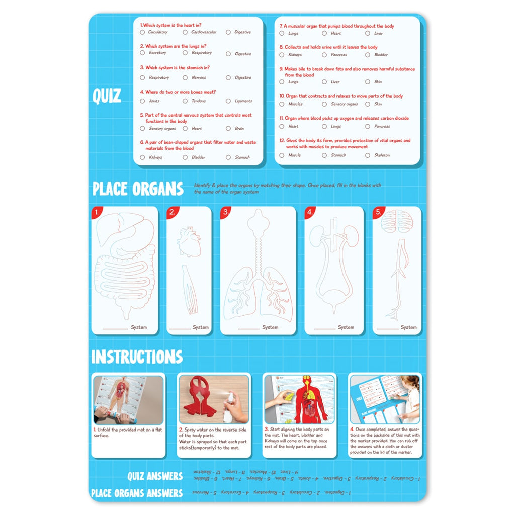 Human Body Parts Puzzle for Kids – Cretto